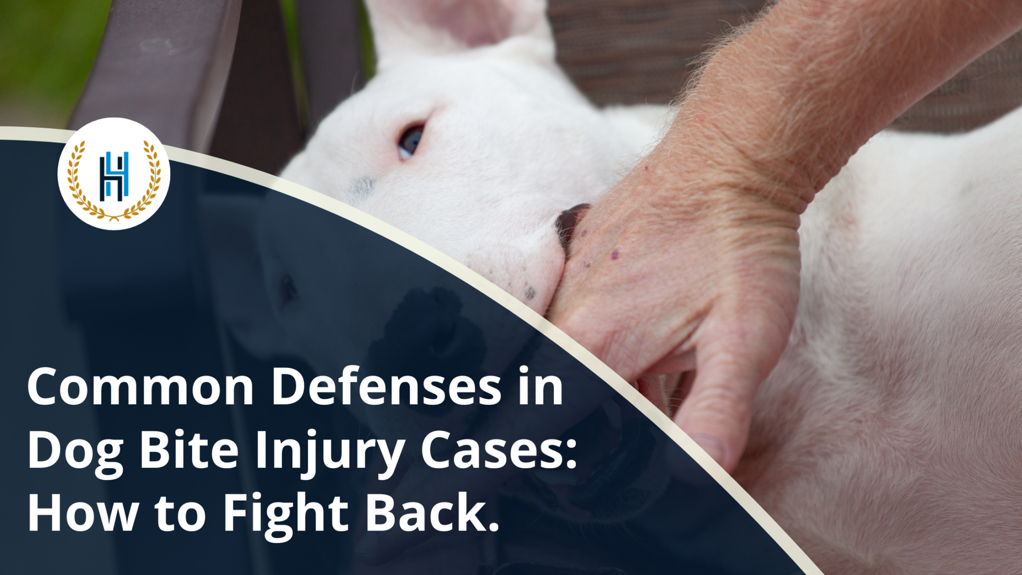 Common Defenses in Dog Bite Injury Cases: How to Fight Back.